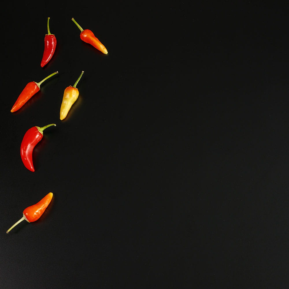 Compact Laminate Samples